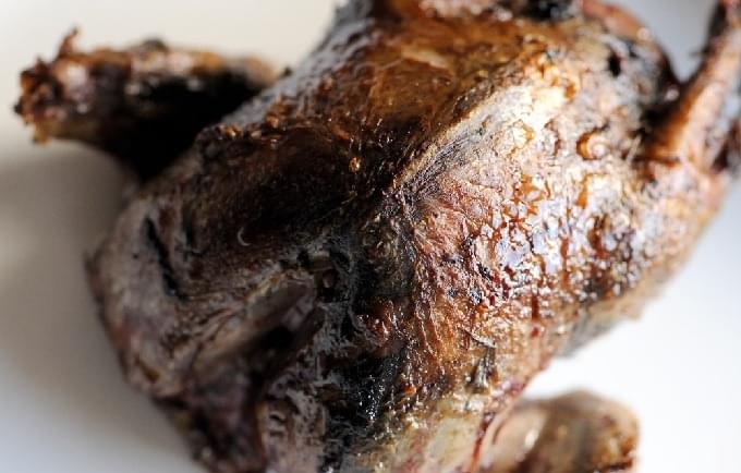 Agrárminiszter: elindult a nemzeti húsgalambprogram - Trade magazin