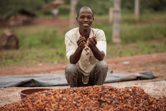 Mars: 3.5 Million Cocoa Plants, more than 270 thousand supported small ...