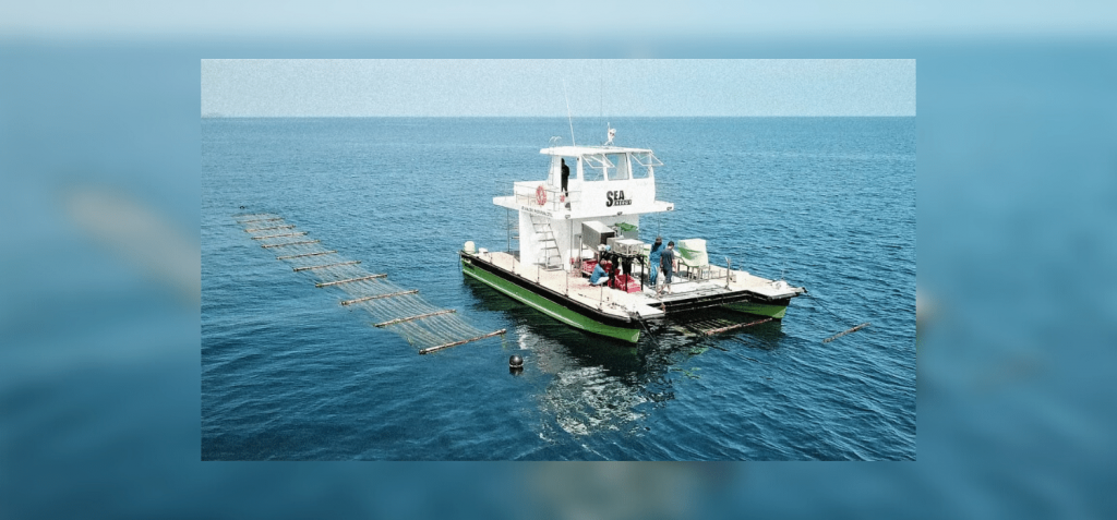 An automated 'sea combine' for harvesting seaweed at scale | Trademagazin