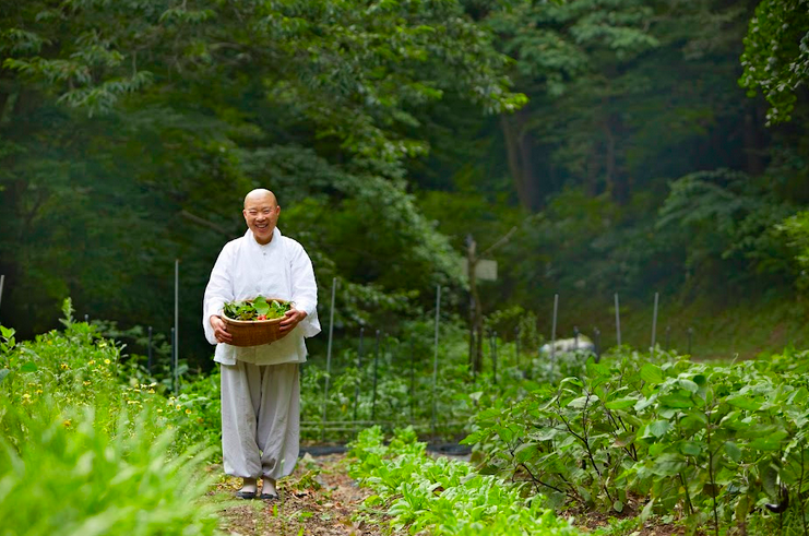 The world-famous Korean monk chef is coming to Hungary - Trademagazin