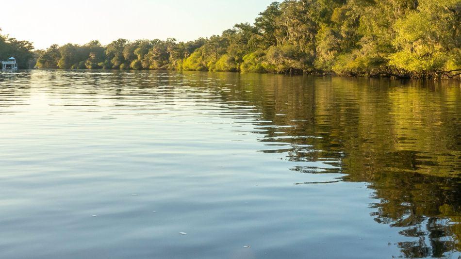 Lidl Seeks To Set Standards For Sustainable Water Management - Trademagazin