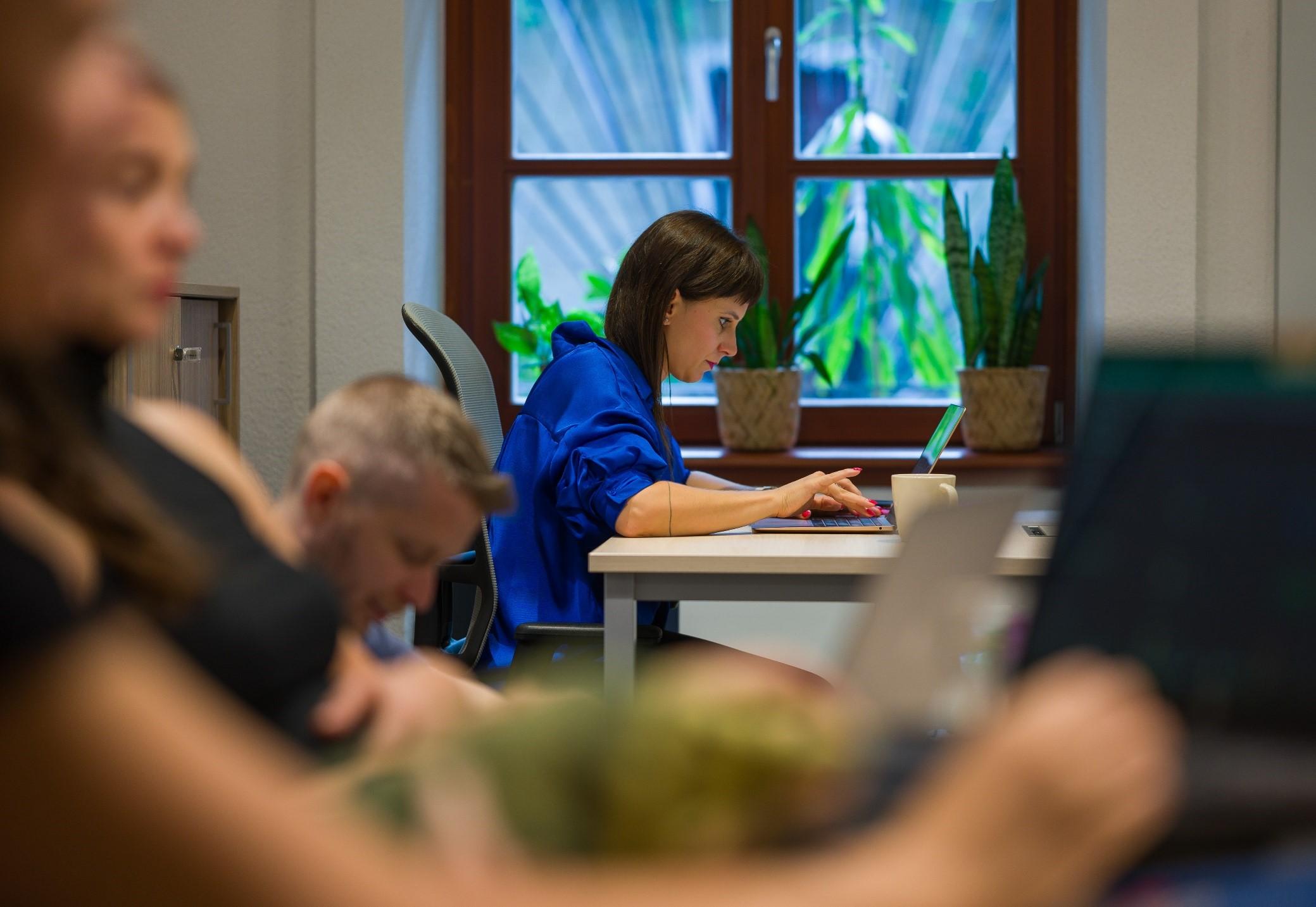 Bobcats Coding has compiled an AI innovation manual for corporate decision makers - Trademagazin