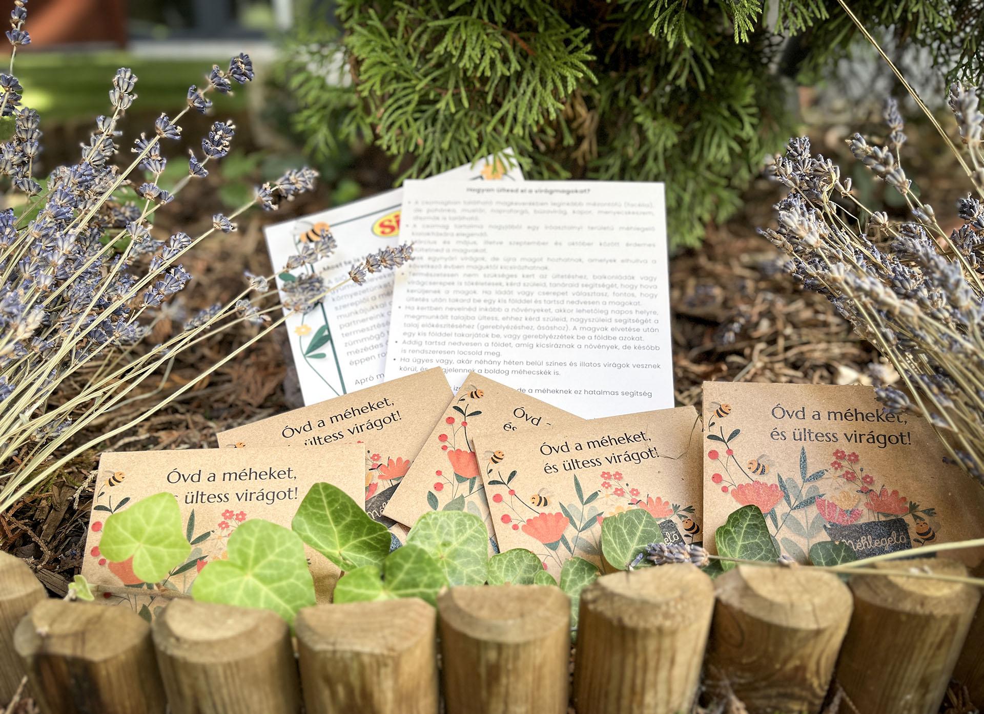 SIÓ helps save bees with school education - Trademagazin