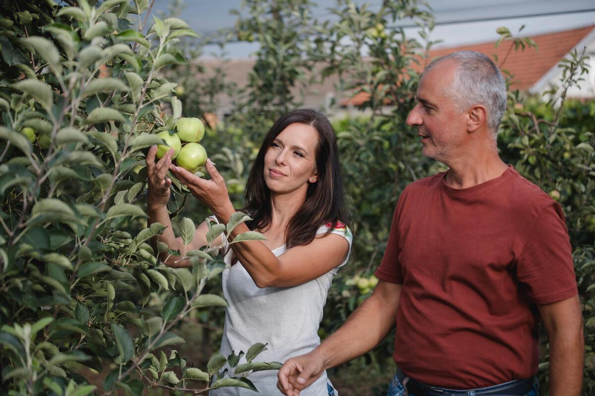 FAO’s Food and Agriculture Strategy Meeting to be held in Budapest ...