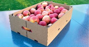 New, sustainable corrugated board box from Dunapack – a modern solution ...